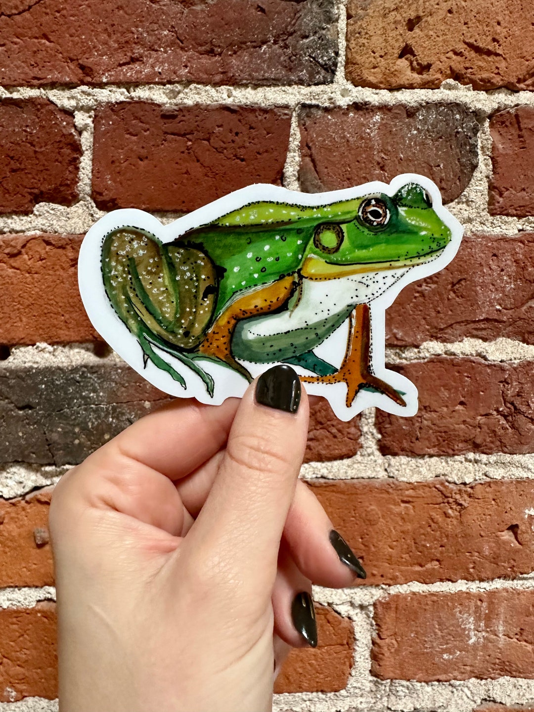Frog Vinyl Decal - Etsy
