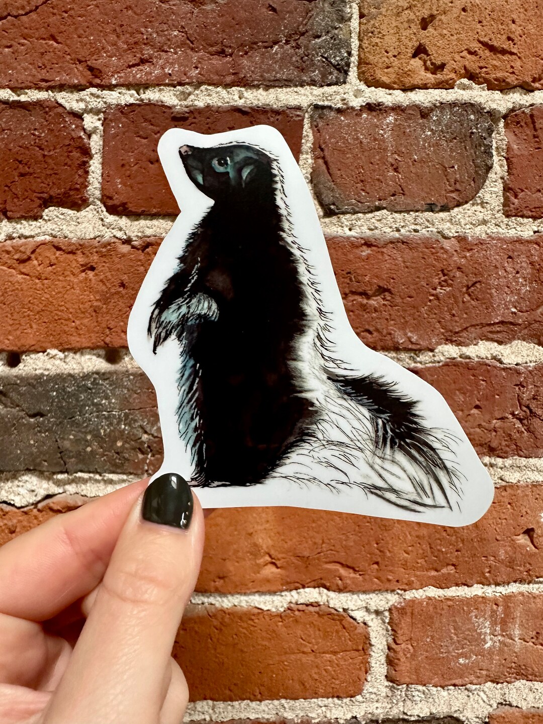 Skunk Vinyl Decal - Etsy