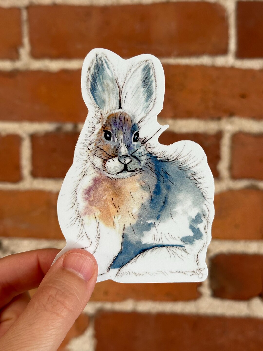 Hare Vinyl Decal - Etsy