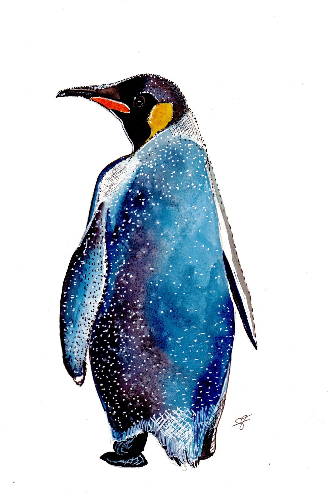 Watercolor and Ink Penguin Reproduction Print - Etsy