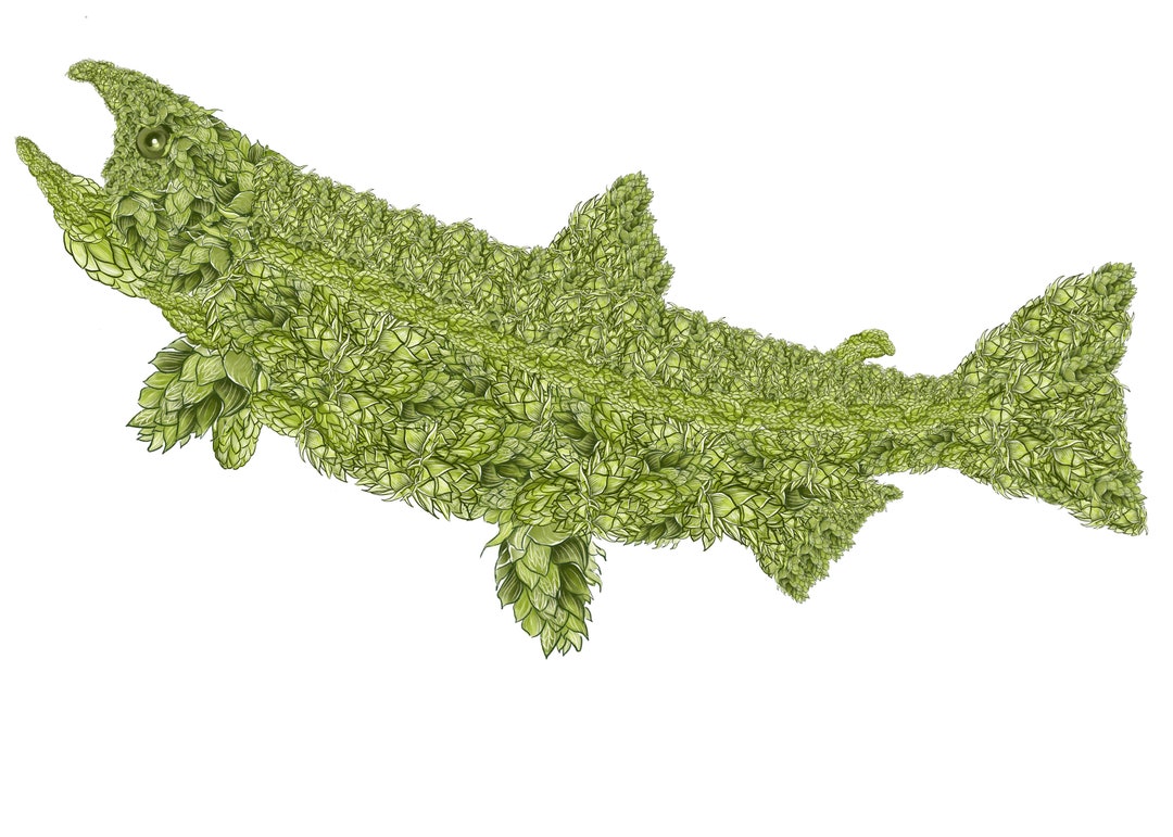 Northwoods Hop Fish - Etsy