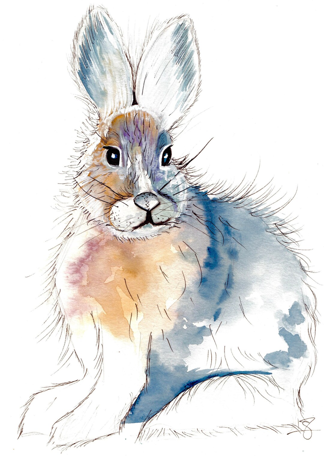 Watercolor and Ink Reproduction Hare Print - Etsy