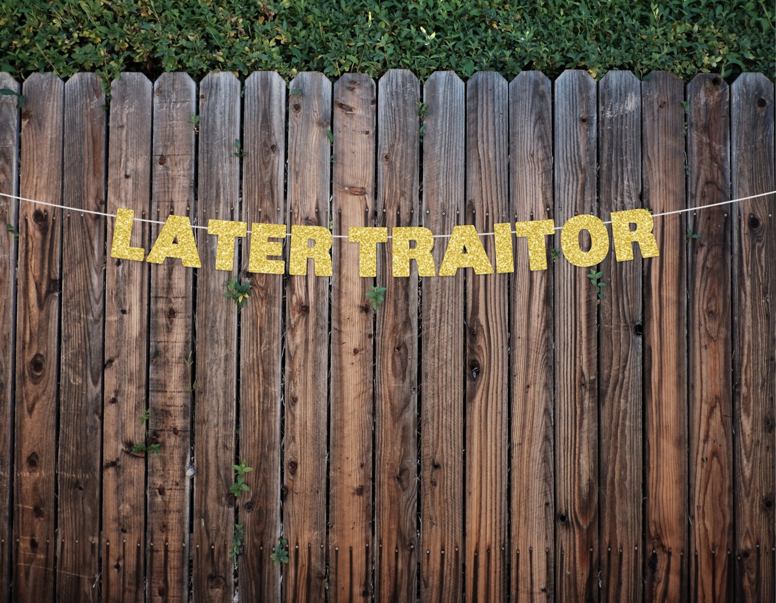 LATER TRAITOR Banner Later Traitor Sign Gold Glitter | Etsy