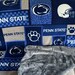 Handmade Penn State Plush Fleece Blanket Throw With Cozy Gray Plush ...