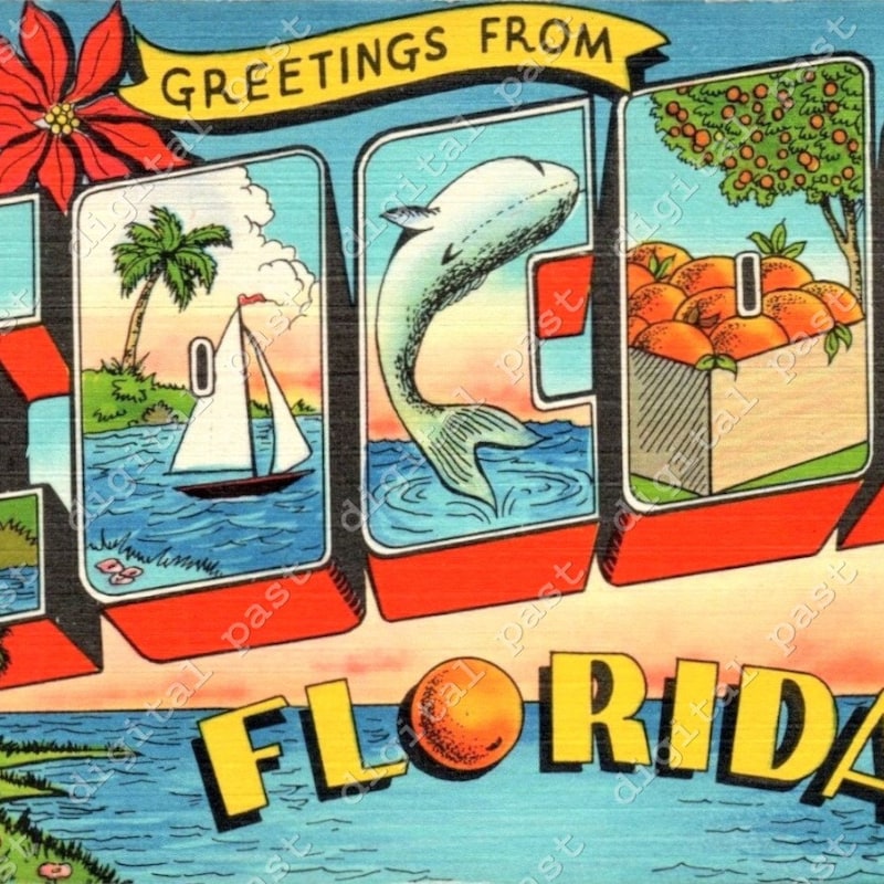 Florida Postcard - Etsy