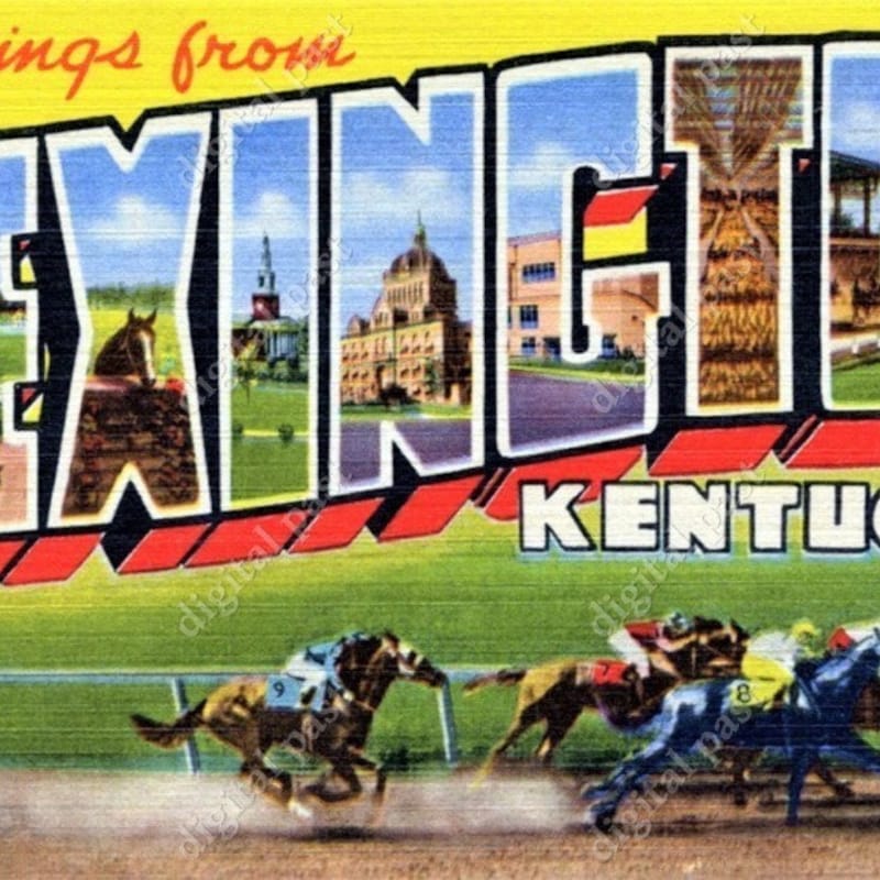 Horse Racing Postcards - Etsy UK