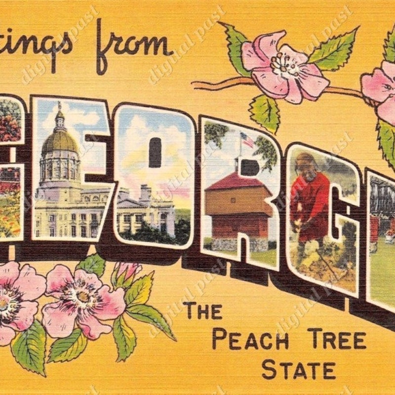 Georgia State Tree - Etsy