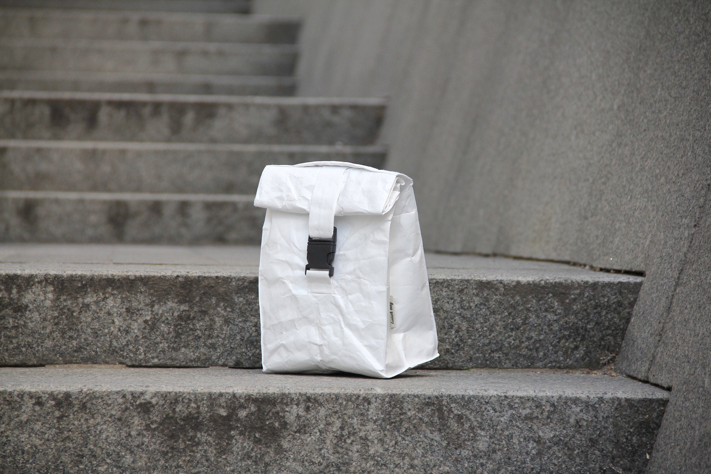 INSULATED PAPER TYVEK Lunch Bag for Woman for Man - Etsy
