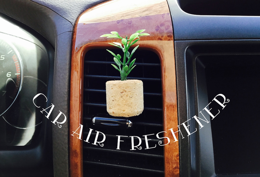 Car Air Freshener / Plant / Cork / Essential Oil Diffuser / - Etsy