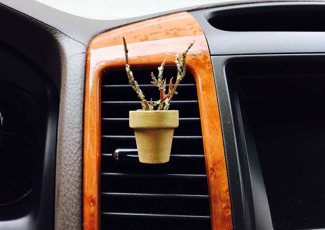 Gold Shimmer / Branch / Glitter / Plant / Plant / Planter / Car Air ...