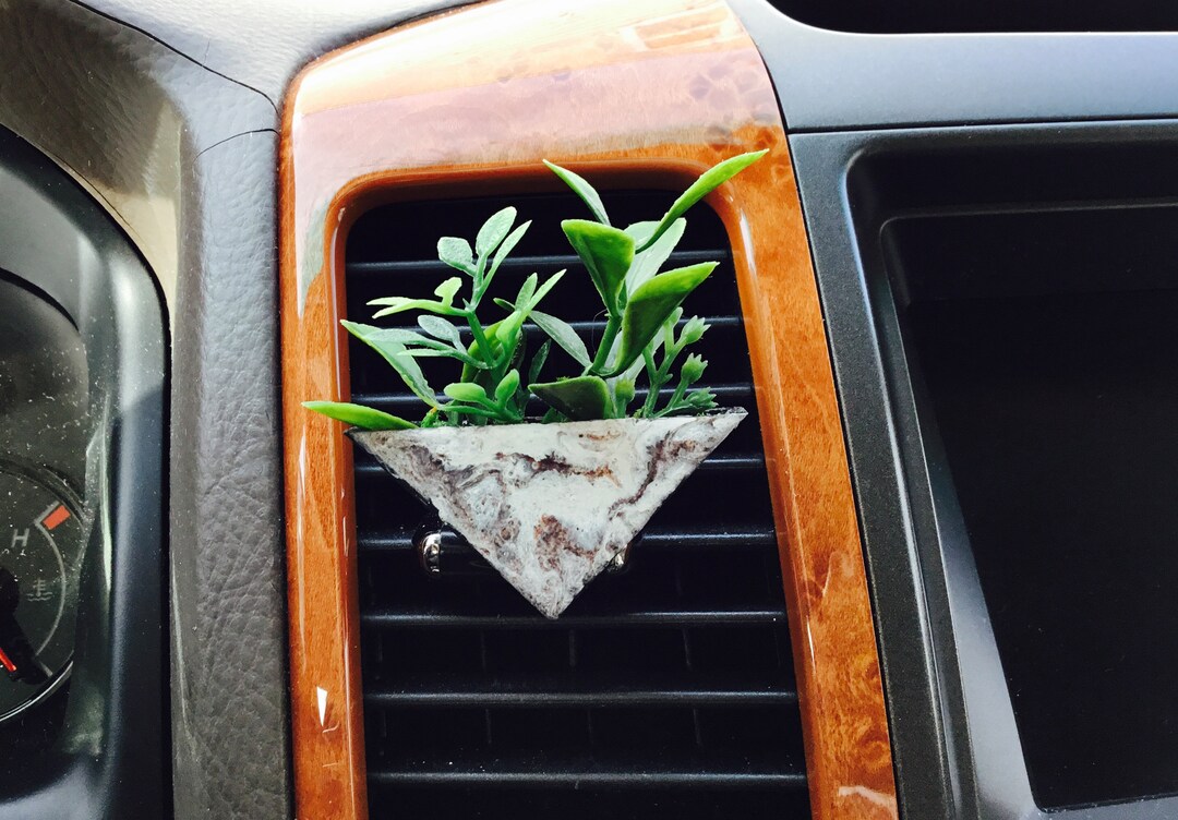 Plant / Planter / Earthy / Succulent / Hand Painted / Triangle / Car ...