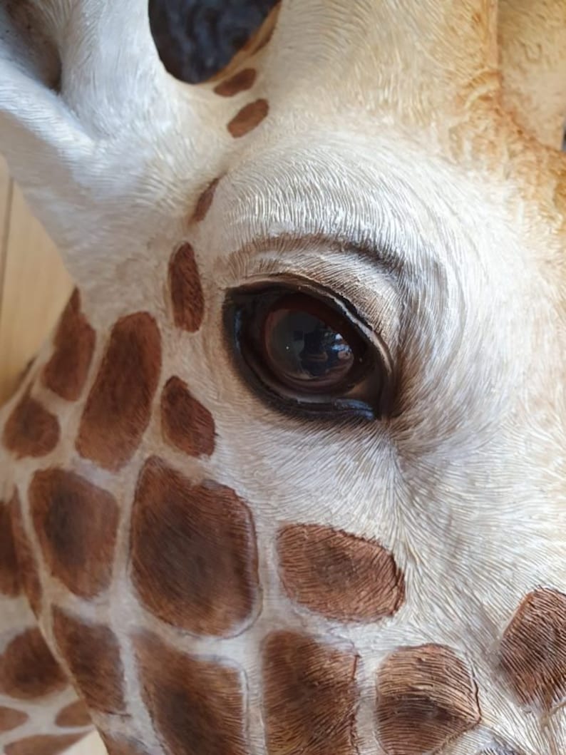 Large Giraffe Wall Head, Realistic and Detailed Wall Art Animal Decor ...
