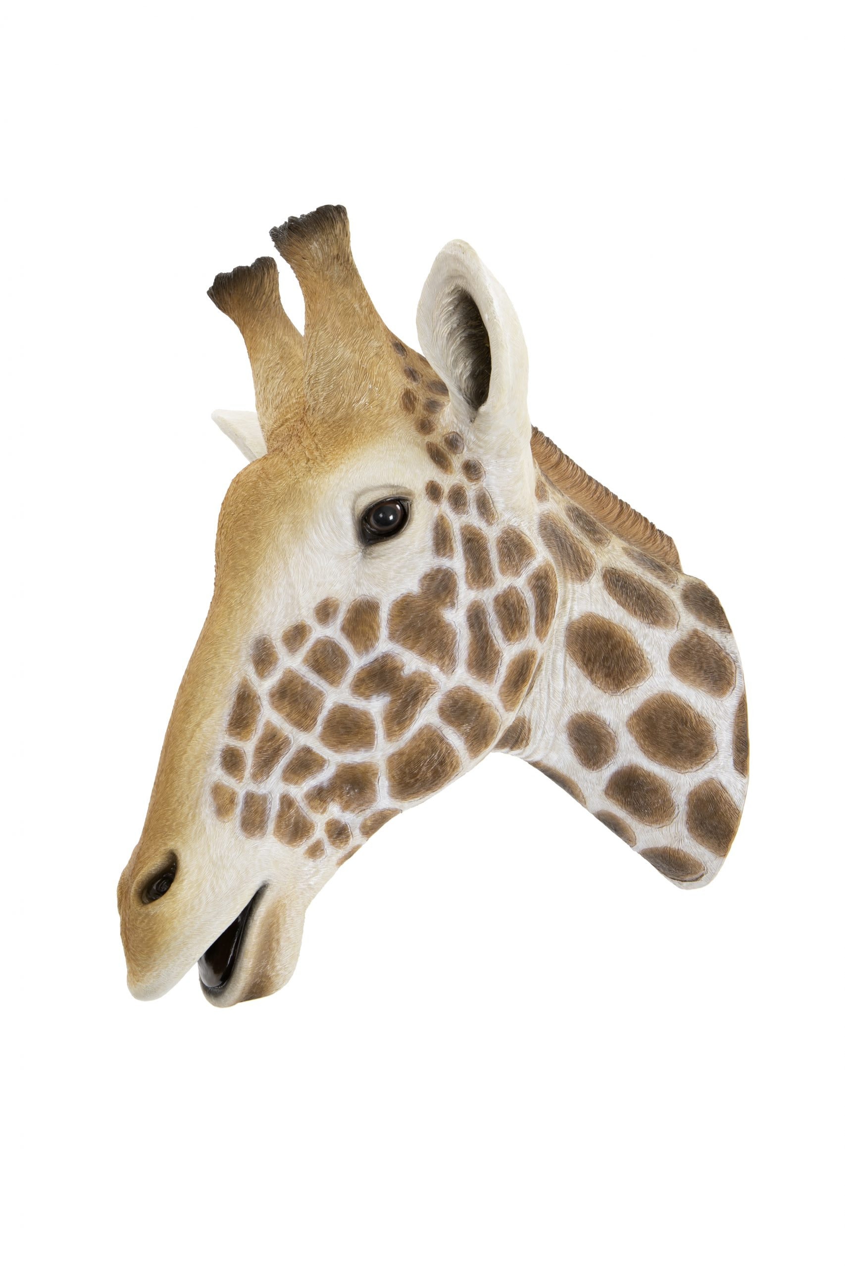 Large Giraffe Wall Head, Realistic and Detailed Wall Art Animal Decor ...