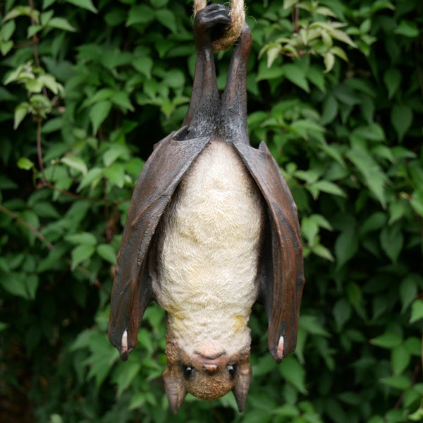 Hanging Bat - Etsy UK