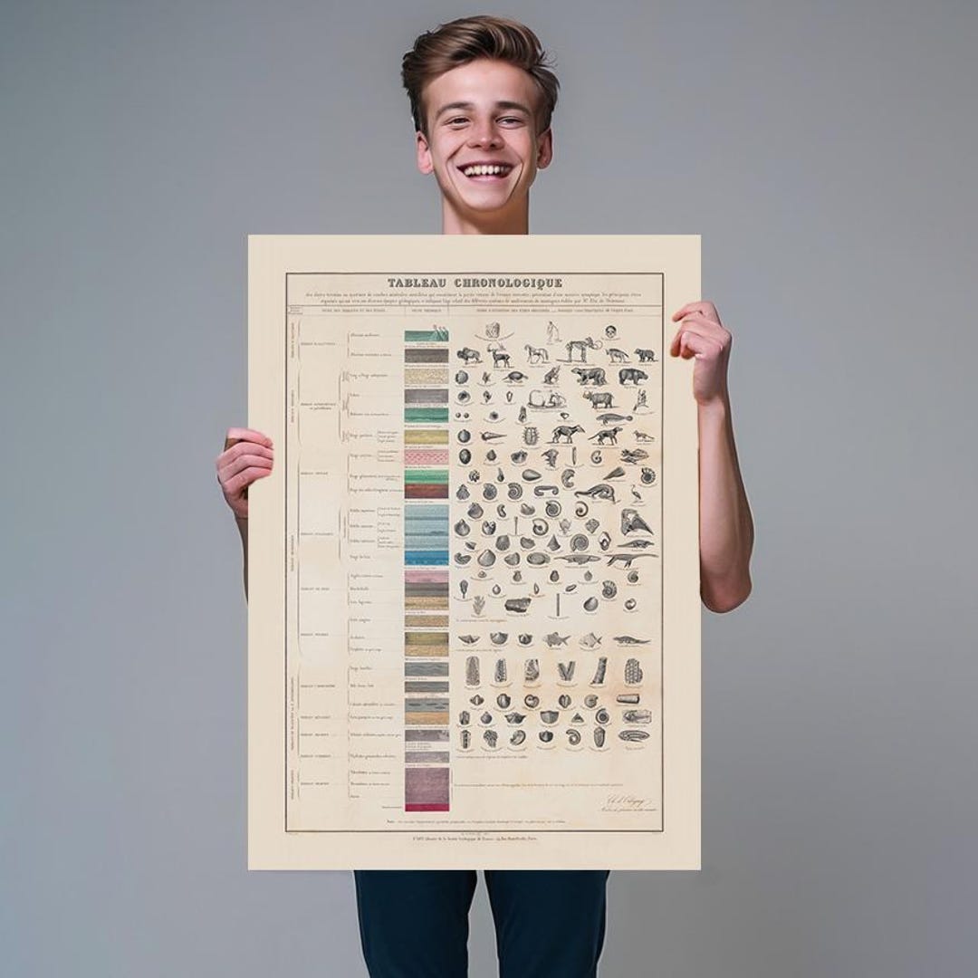 Vintage Geological Time Chart & Fossil Illustration Print - Tableau ...