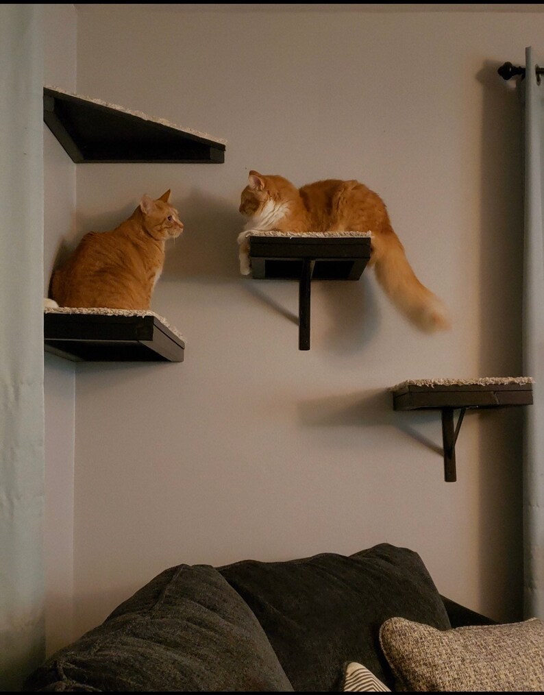 Set of 4 Floating Cat Shelves with carpet 1 Square 2 | Etsy