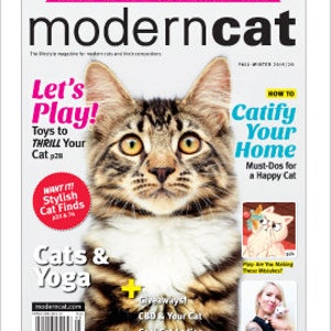 One Floating Corner Cat Shelf With Carpet Covering - Etsy