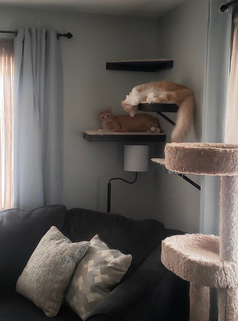 Set of 2 One Rectangle and One Square Cat Shelves with | Etsy