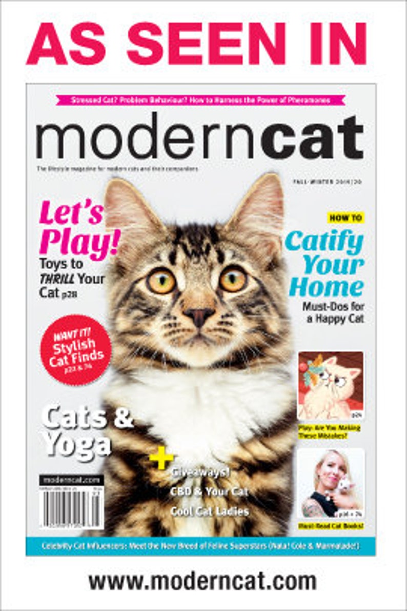 Set of 2 One Rectangle and One Square Cat Shelves with | Etsy