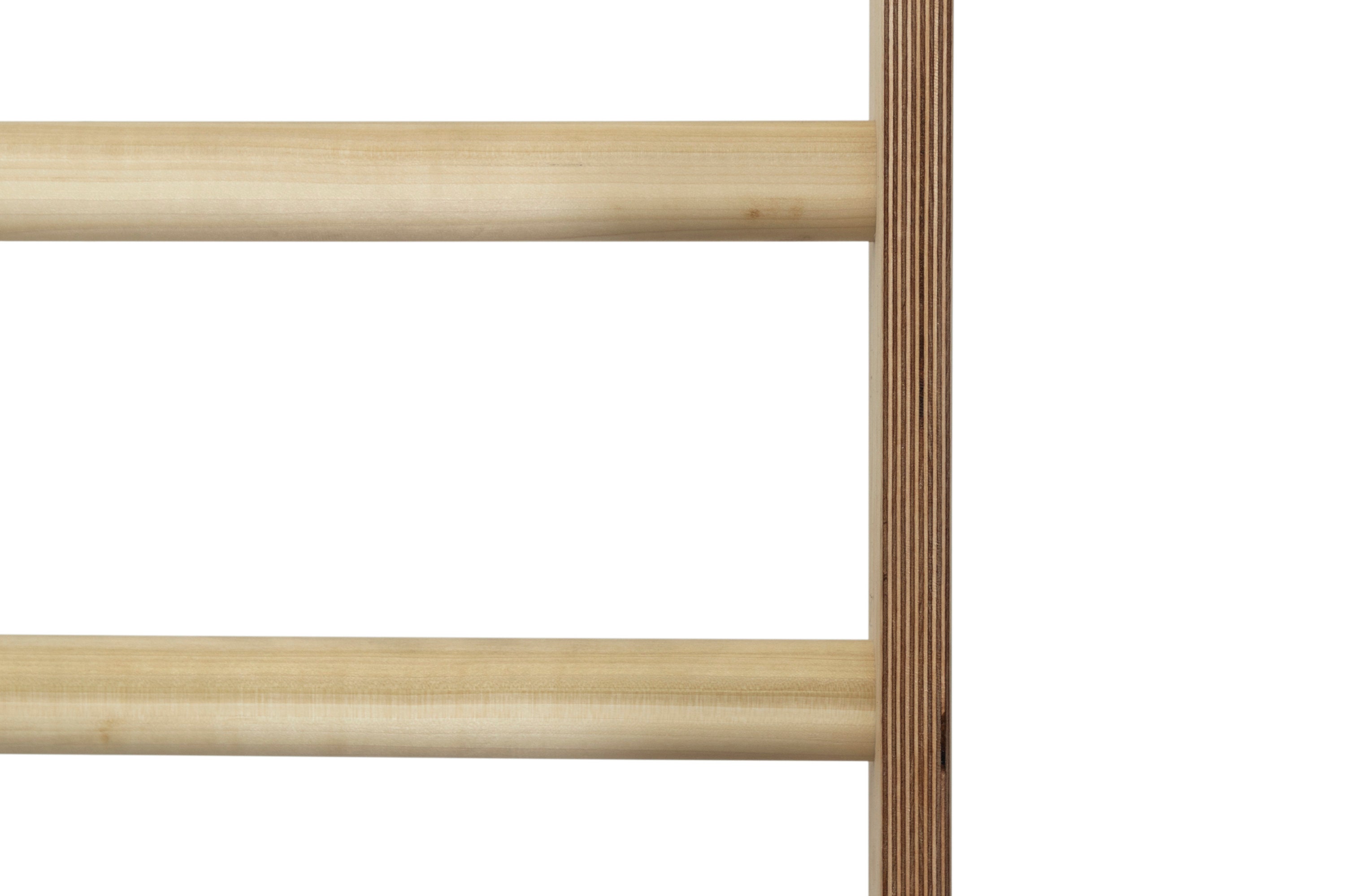 Scoliosis Therapy Swedish Ladder Stall Bars for Schroth and Rigo ...