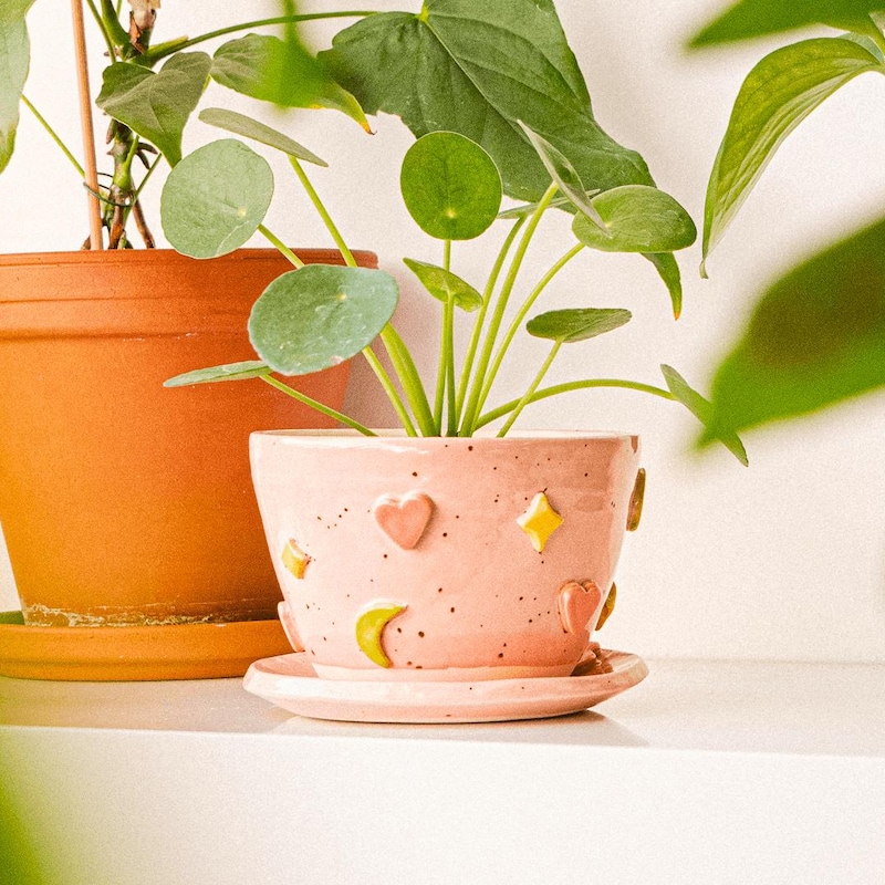 Moon Plant Pot - Etsy
