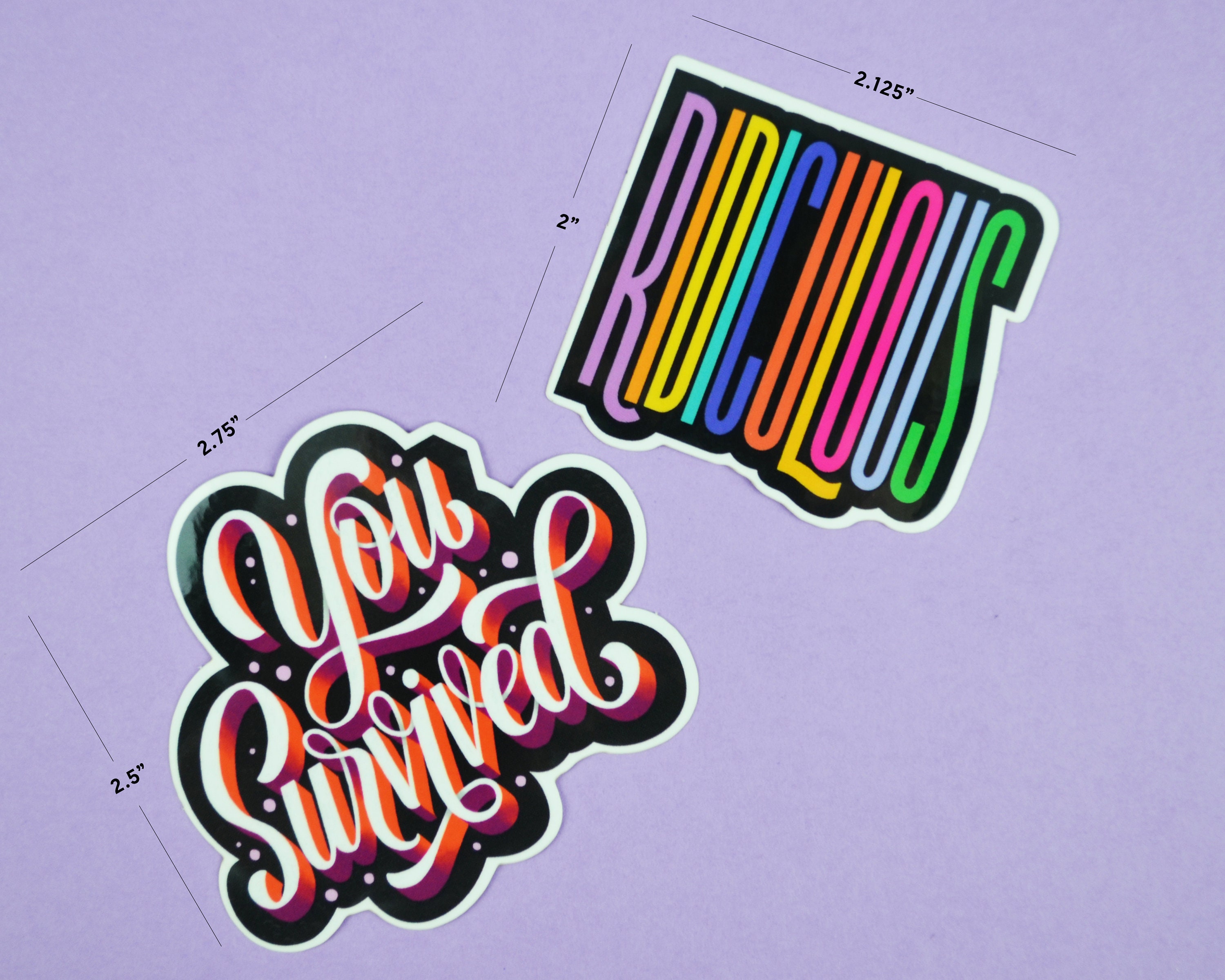 2020 Sticker Pack You Survived Ridiculous Vinyl Stickers | Etsy