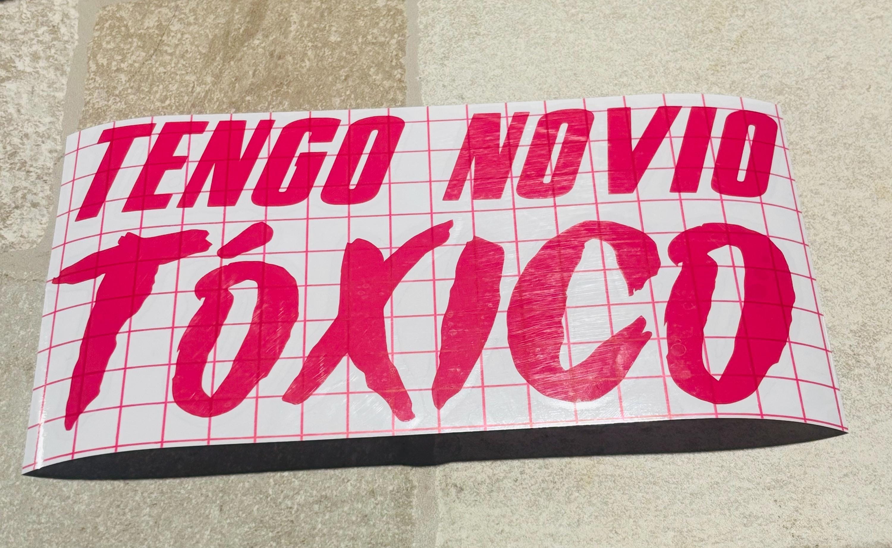 Tengo Novio Toxico Decal - Etsy