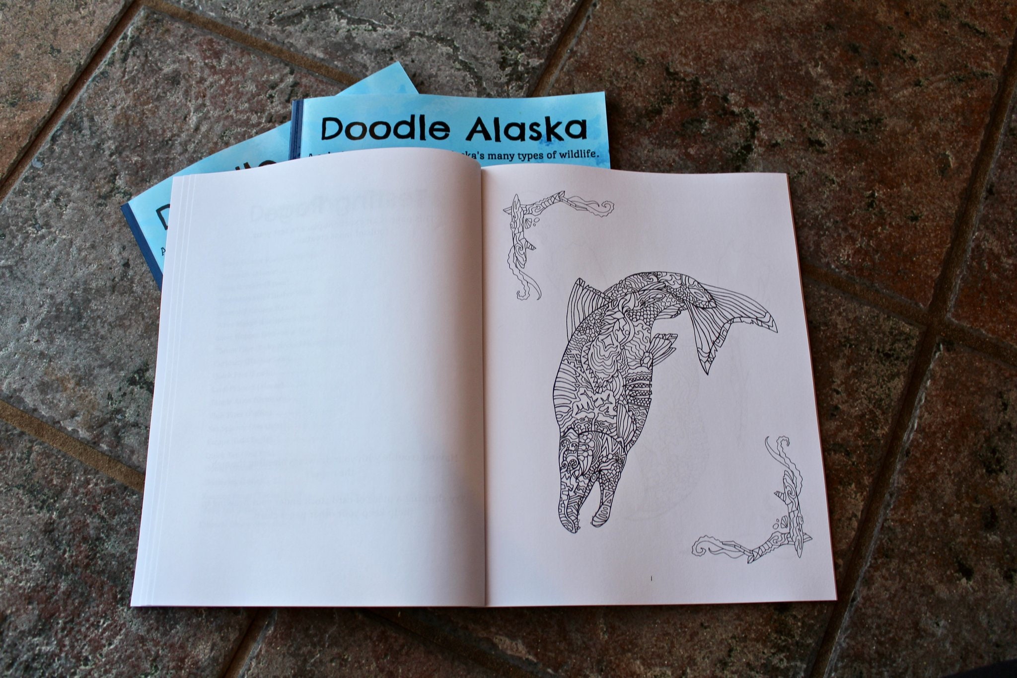 Doodle Alaska A Coloring Book Inspired by Alaska's Many Types of ...