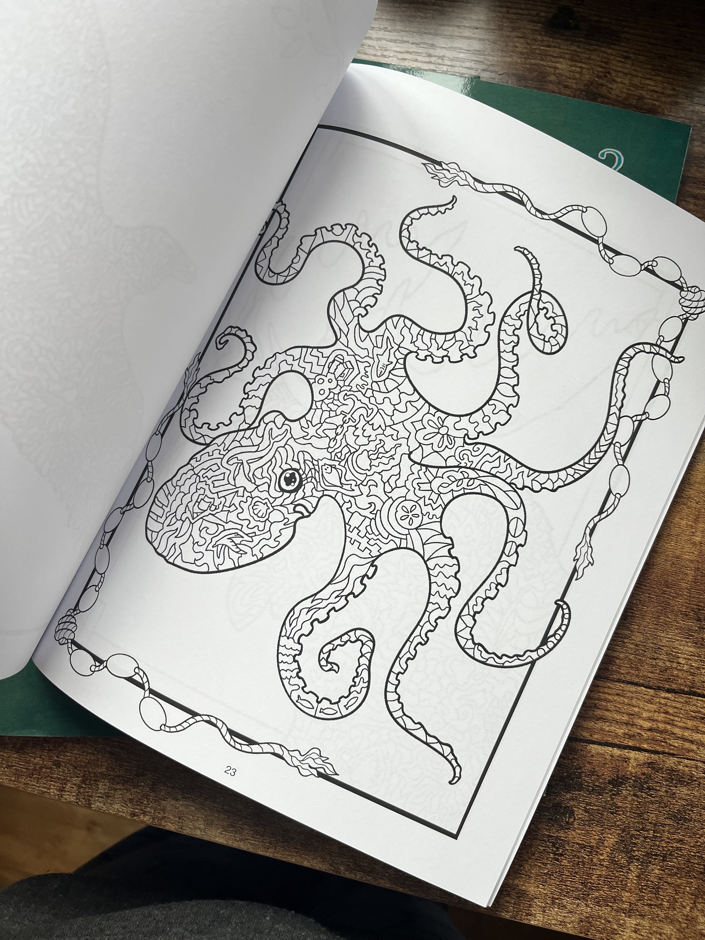 Doodle Alaska 2 A Coloring Book Inspired by Alaska's Many Types of ...