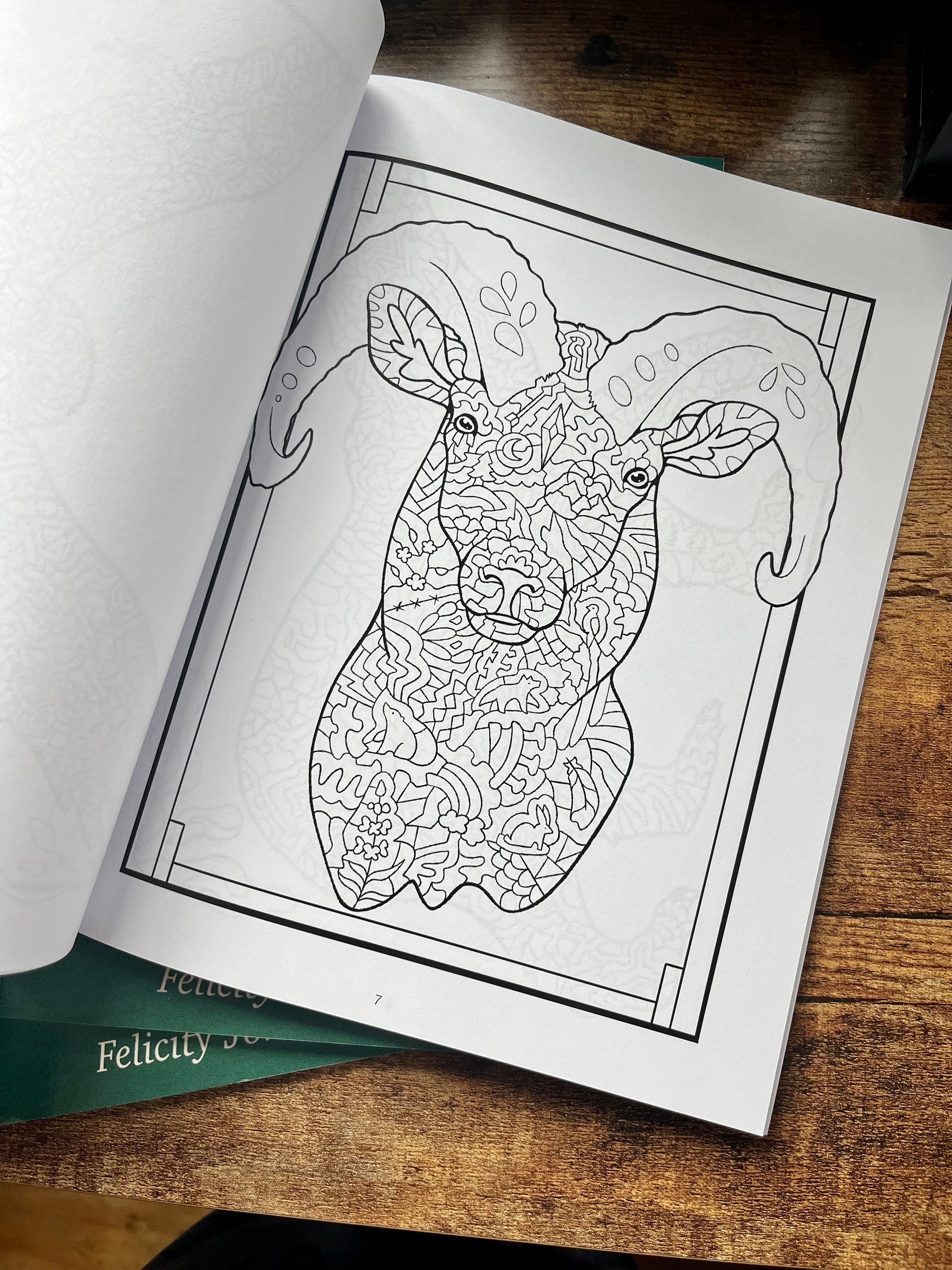 Doodle Alaska 2 A Coloring Book Inspired by Alaska's Many Types of ...