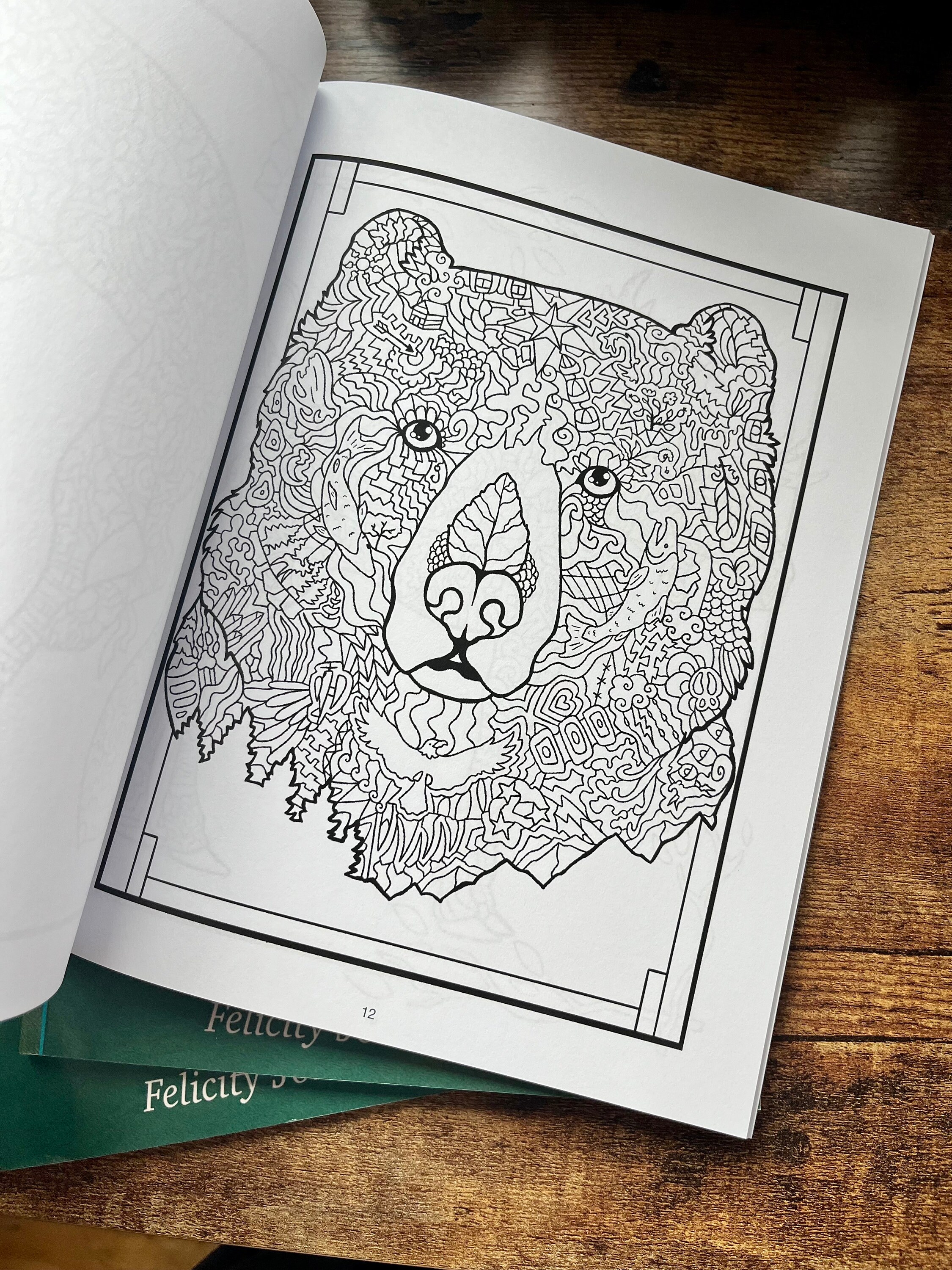 Doodle Alaska 2 A Coloring Book Inspired by Alaska's Many Types of ...