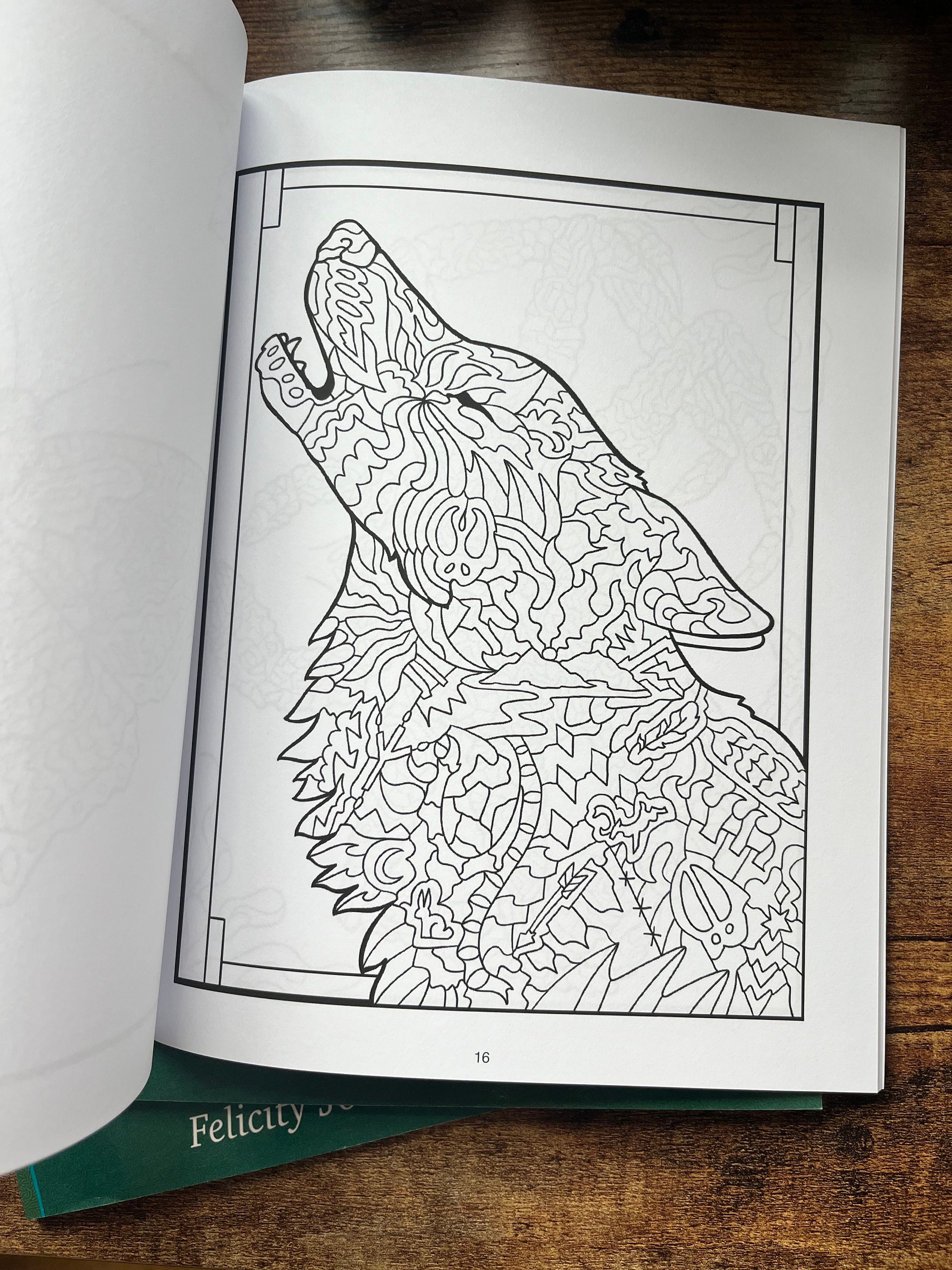 Doodle Alaska 2 A Coloring Book Inspired by Alaska's Many Types of ...
