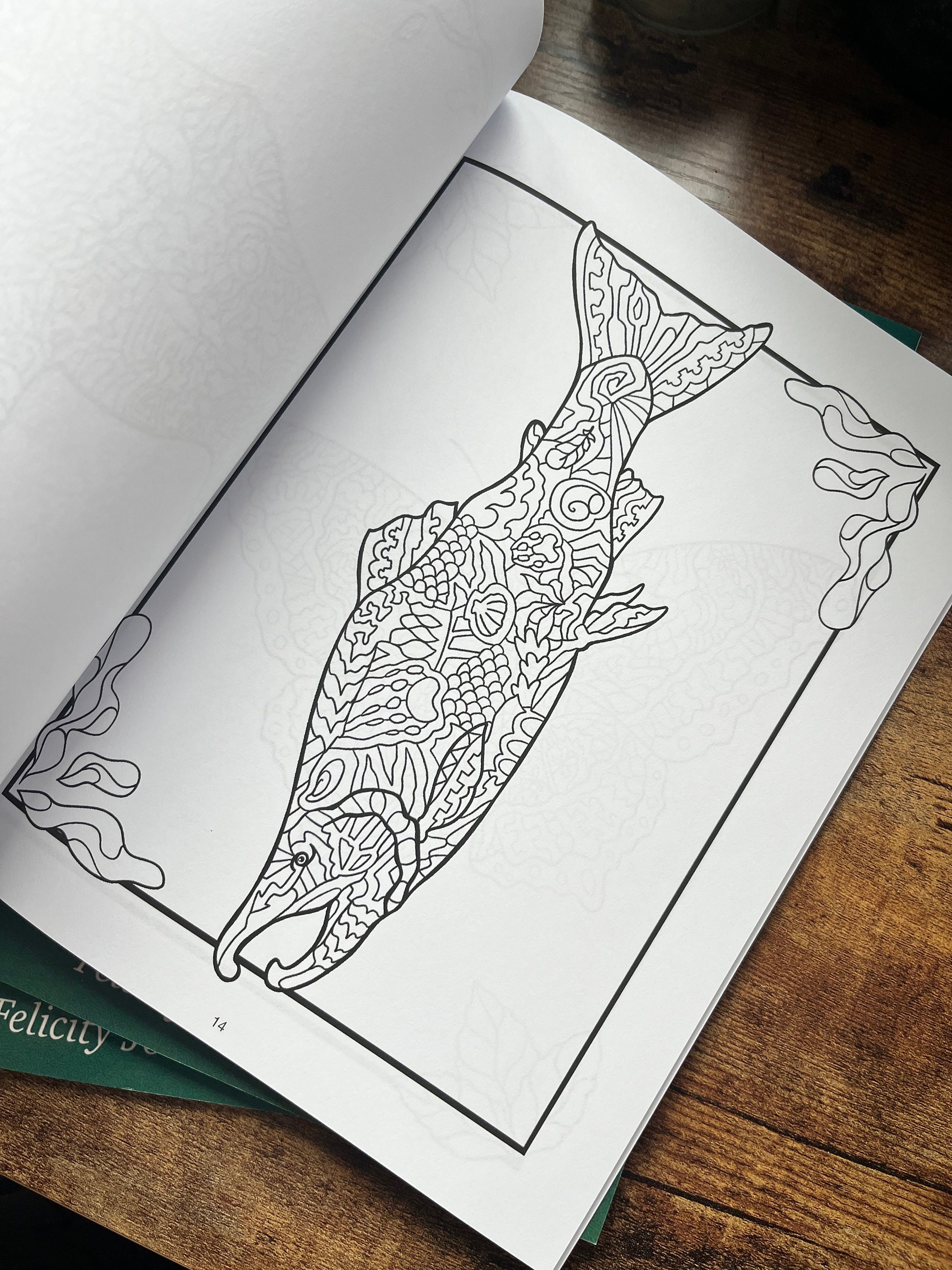 Doodle Alaska 2 A Coloring Book Inspired by Alaska's Many Types of ...
