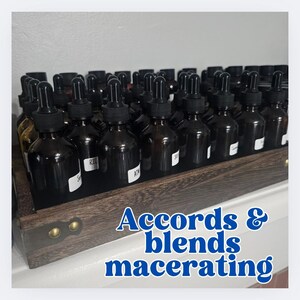 Kitten Breath Perfume, a Creamy Gourmand Fragrance, Milky and Lactonic ...