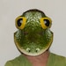 Frog Mask, Halloween Mask, Animal Mask, Masquerade Mask, Costume Mask ...