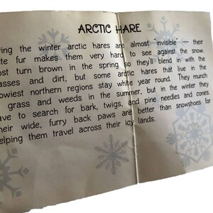 Realistic Arctic Hare Stuffed Plush Ruth Moorehead Collection 1997 Snow ...