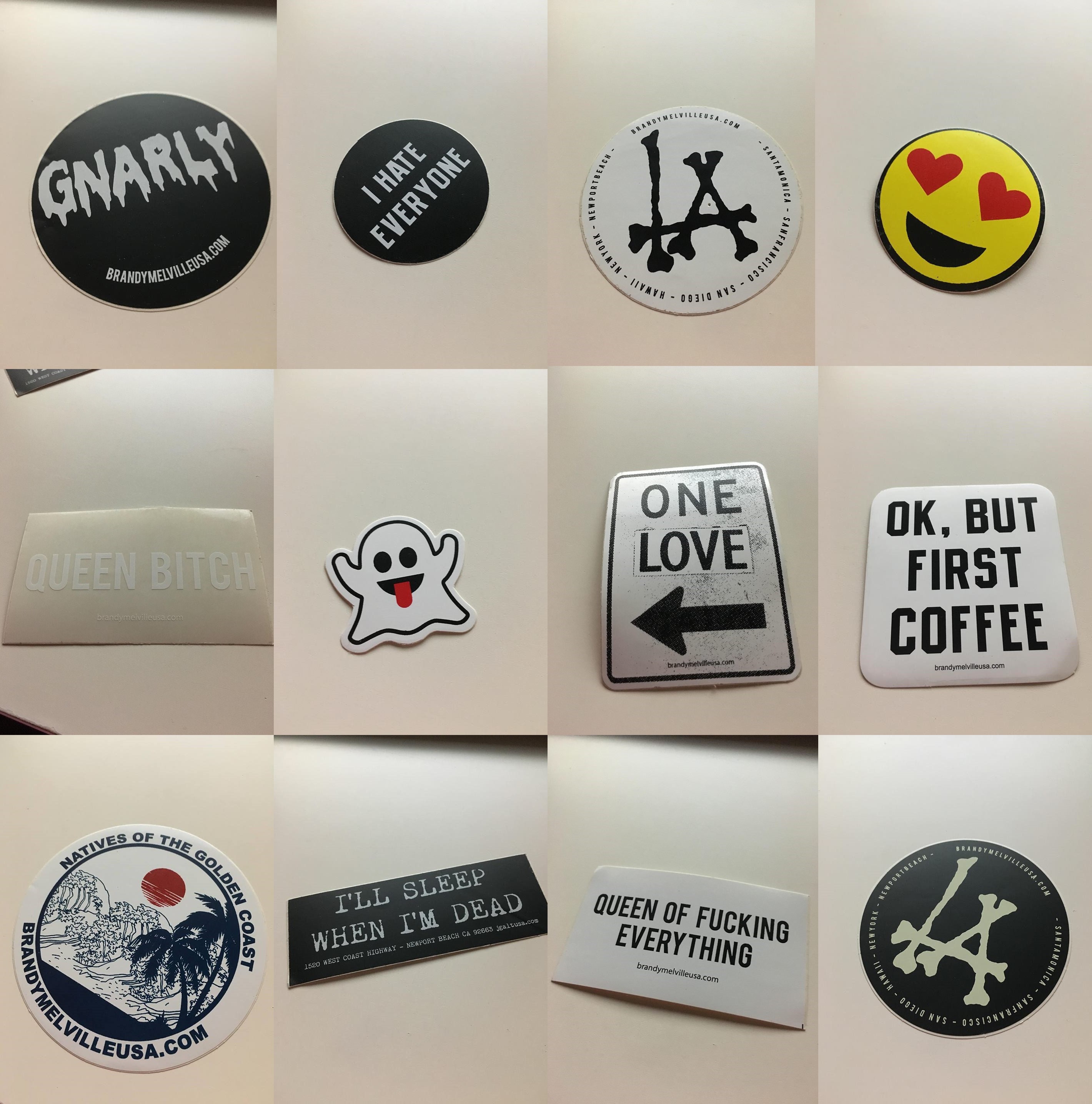 Brandy Melville Stickers Gnarly