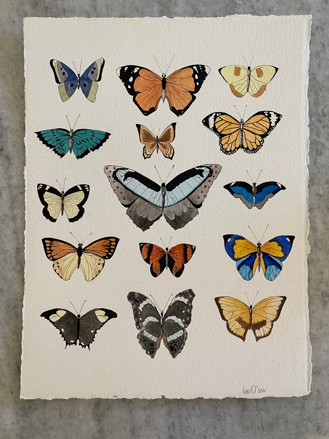 Butterfly Watercolor Hand-painted - Etsy