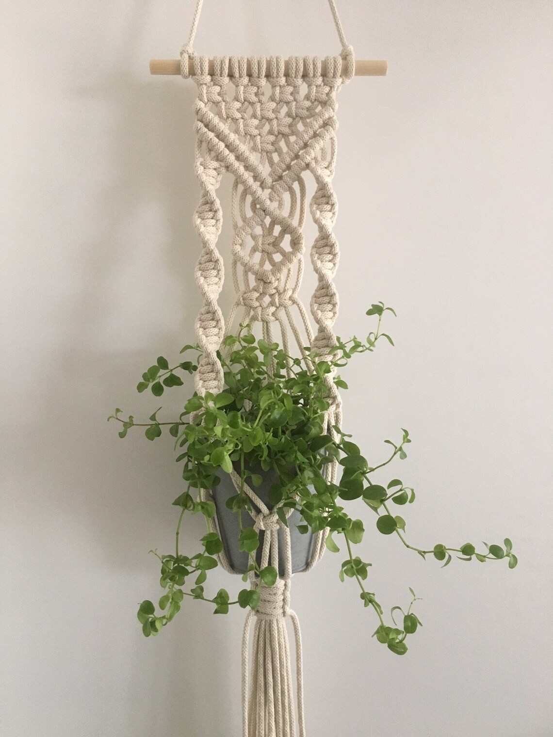 Macrame Plant Hanger Wall Planter Wall Hanging Wall Plant | Etsy