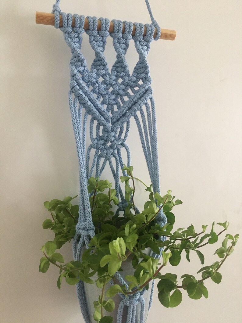 Macrame Plant Pendant Wall Hanging Planter Wall Plant - Etsy