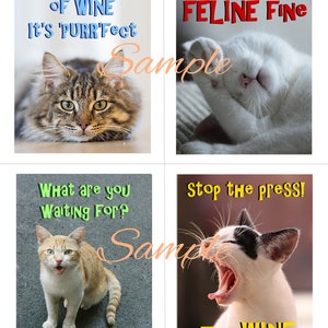 Funny CAT Inspired Wine Labels, INSTANT Download, Easy DIY Printable ...
