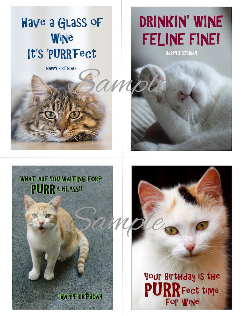 Cat Birthday Wine Labels, Set of 4 Funny Cat Lover Labels, Printable ...