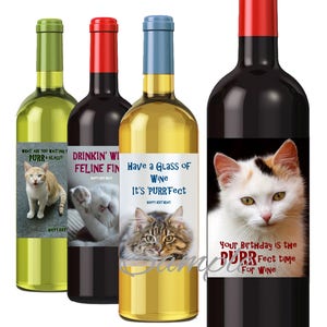 Cat Birthday Wine Labels, Set of 4 Funny Cat Lover Labels, Printable ...
