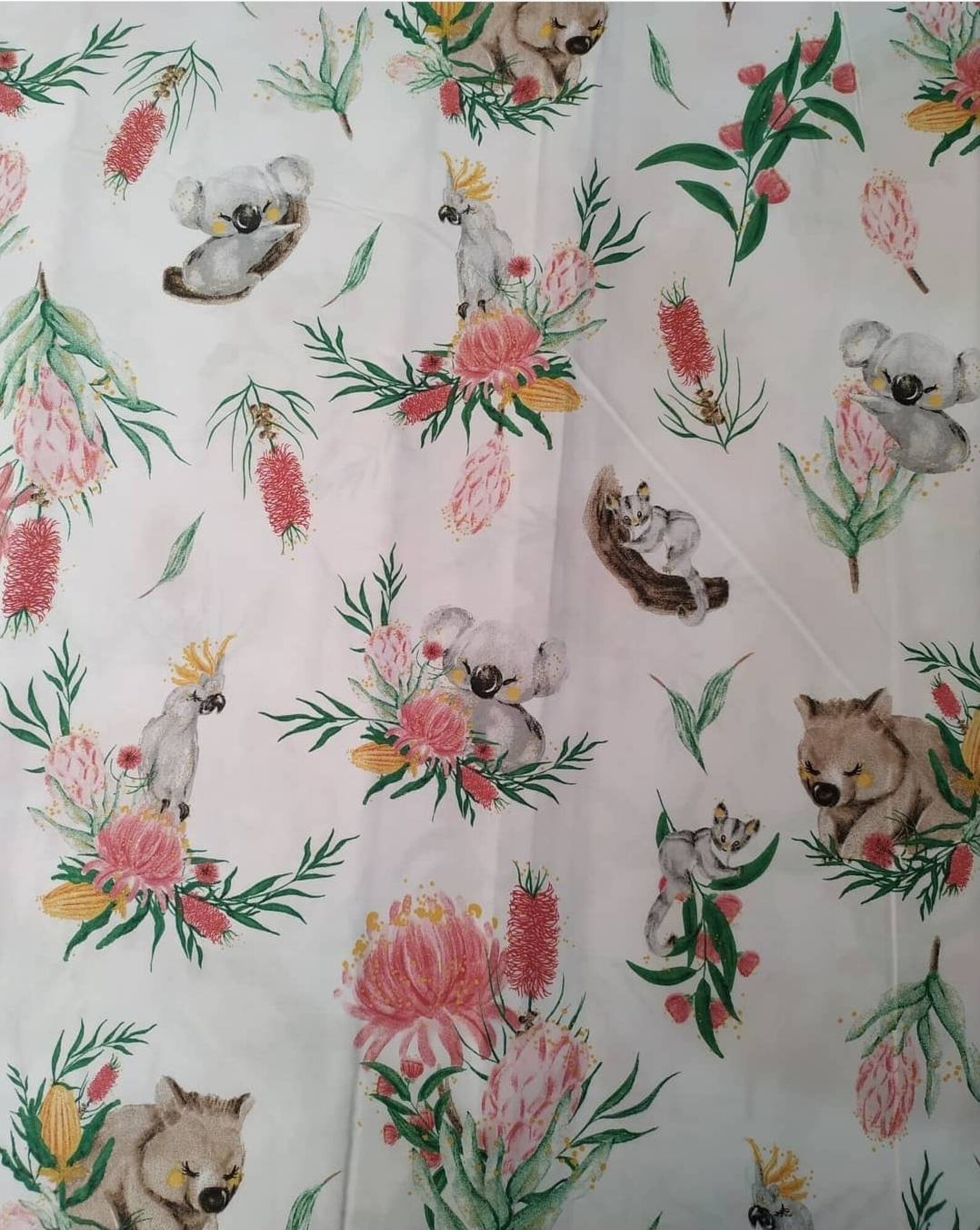 Koala Baumwollstoff Stoff Stoff Bulk Stock Babystoff | Etsy