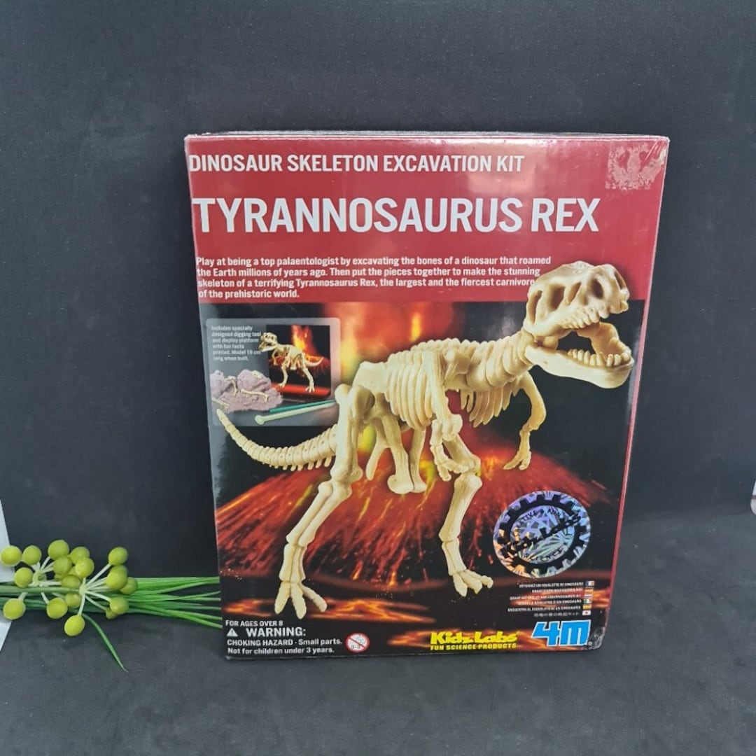 Tyrannosaurus Rex Dinosaur Skeleton Excavation Kit, Vintage Dinosaur ...