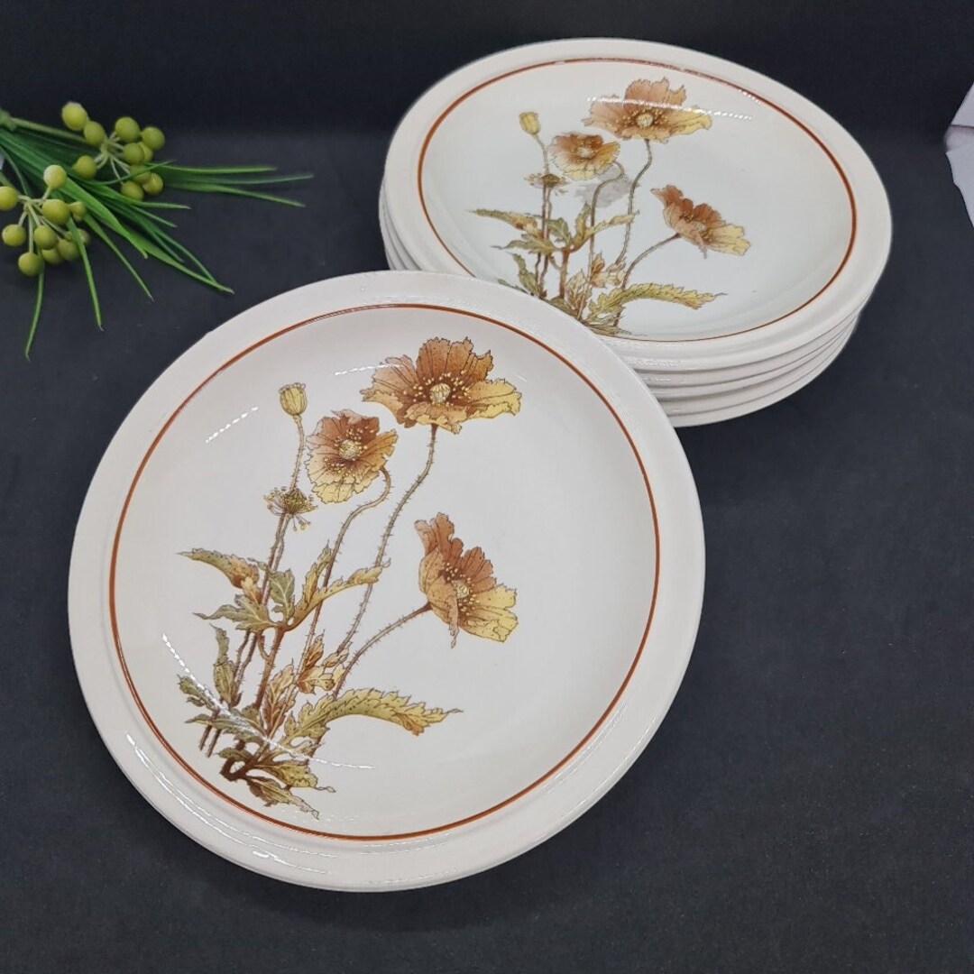 Poppy Plates Royal Tudor Vintage Plates Stafforshire England Iron Stone ...