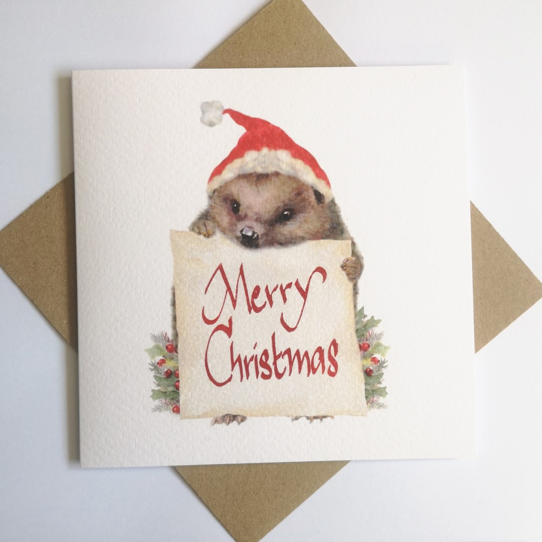 Hedgehog Christmas, Christmas Card Greeting Card - Etsy UK