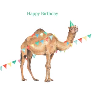 Camel, Birthday Card - Etsy