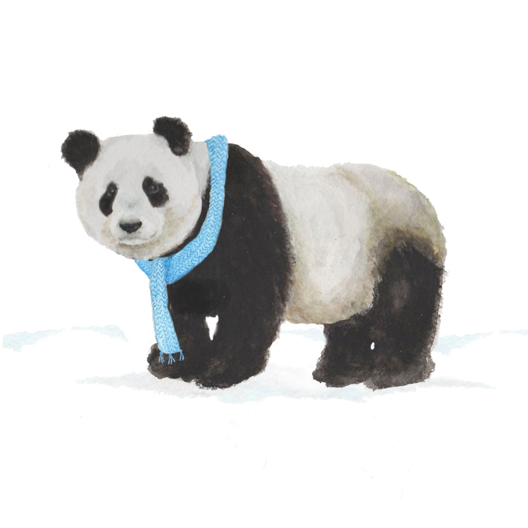 Panda Greeting Card | Etsy