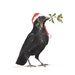 Festive Crow, Christmas Card - Etsy
